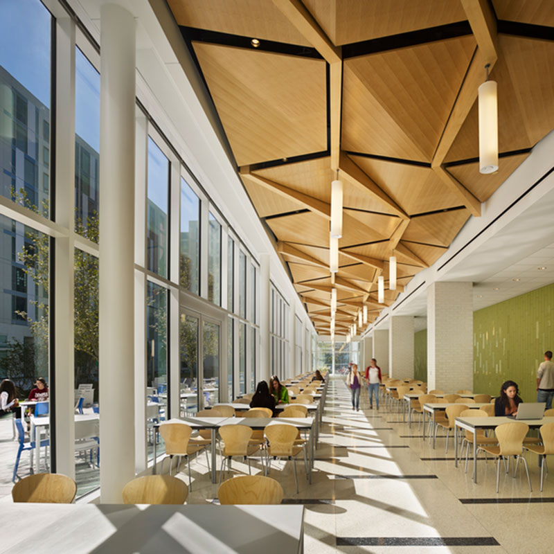 K-12 & Higher Education Campus Construction - STO Building Group